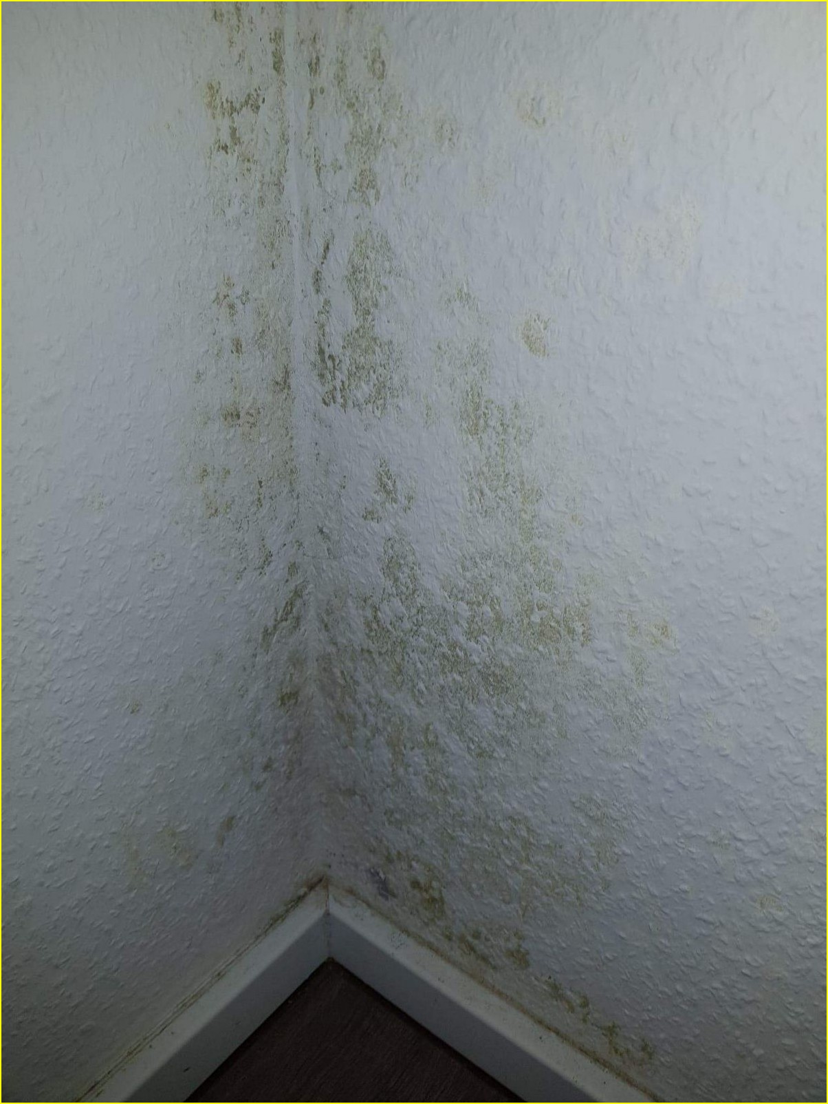 Anfangsstadium Schimmel An Der Wand Erkennen